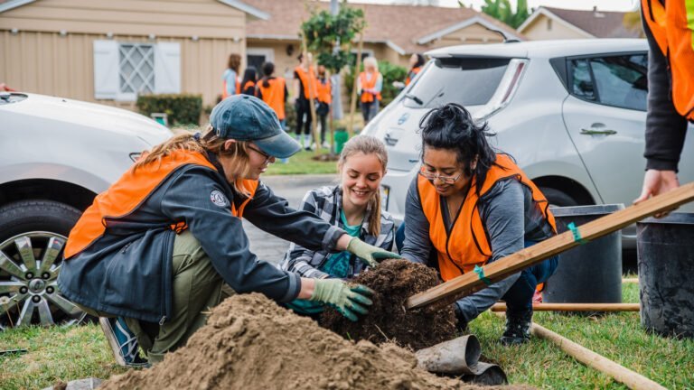 About Us - TreePeople