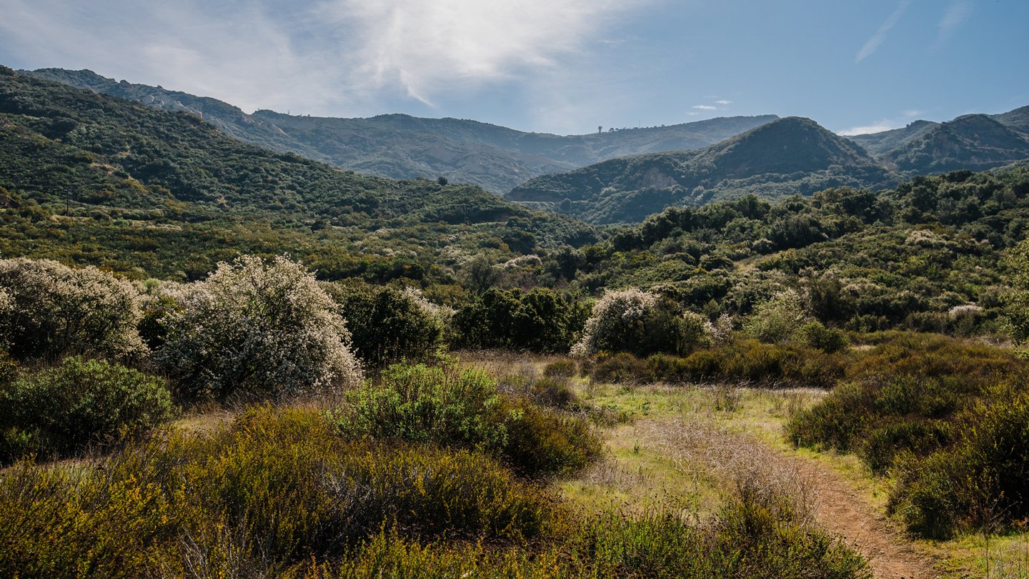 TreePeople Land Trust - TreePeople