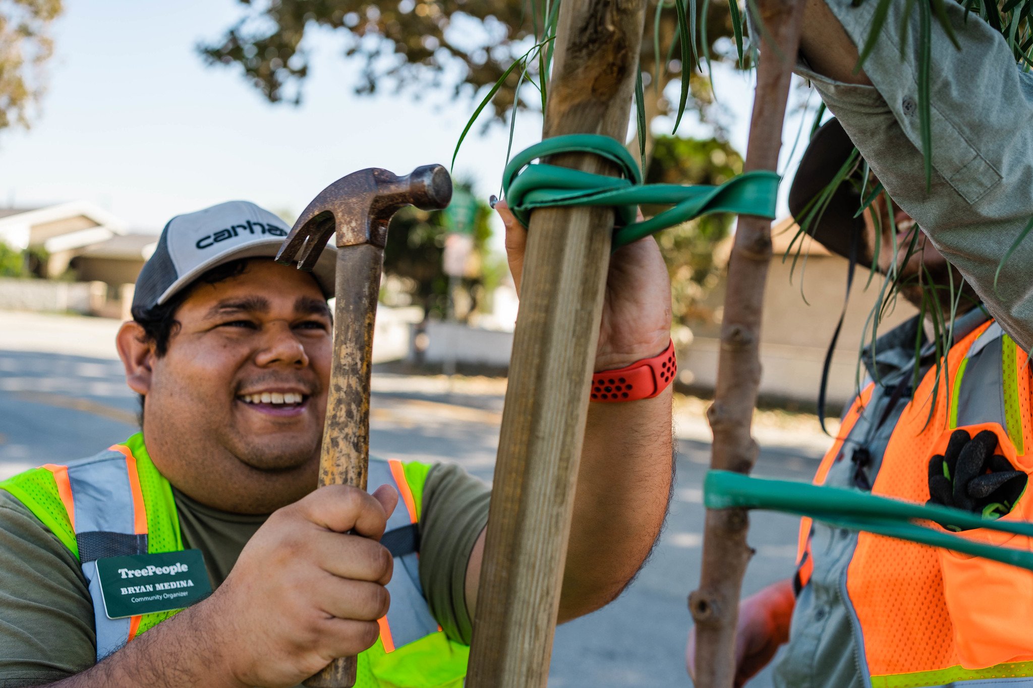 Learn More About Your Own Trees With The Help Of TreePeople and the ...
