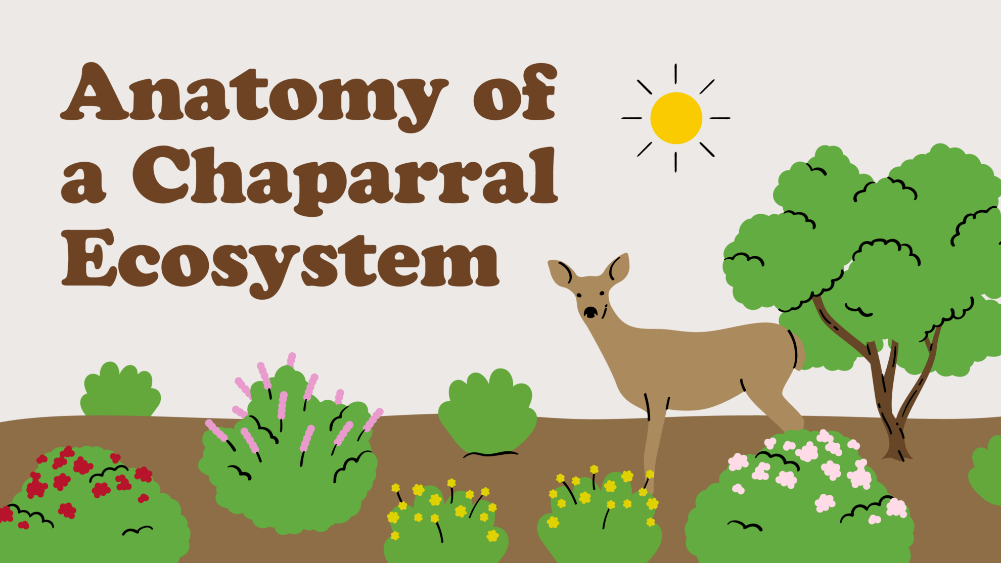 Anatomy of a Chaparral Ecosystem - TreePeople