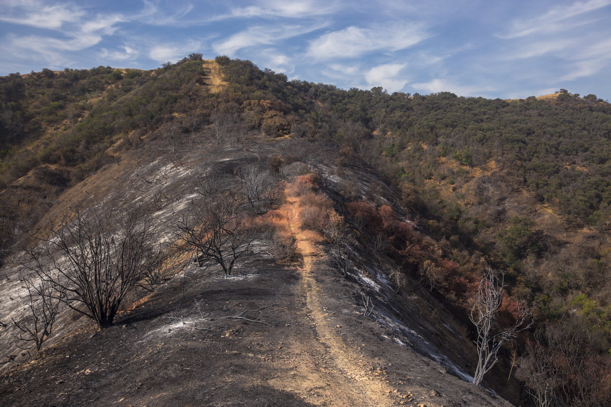 Help nature heal: avoid recent burn scars! - TreePeople
