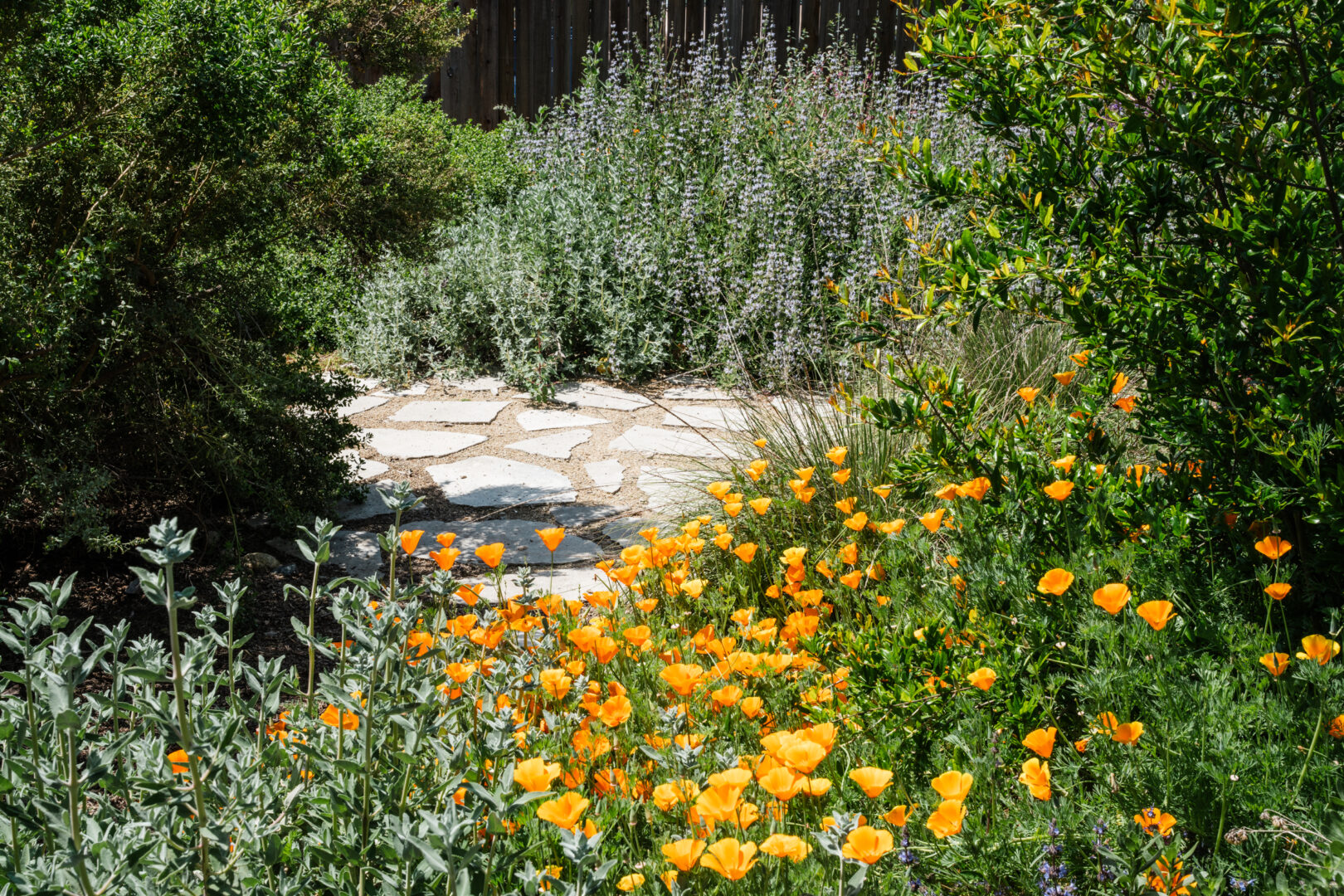 Climate Gardening 101: A New Course from TreePeople - TreePeople