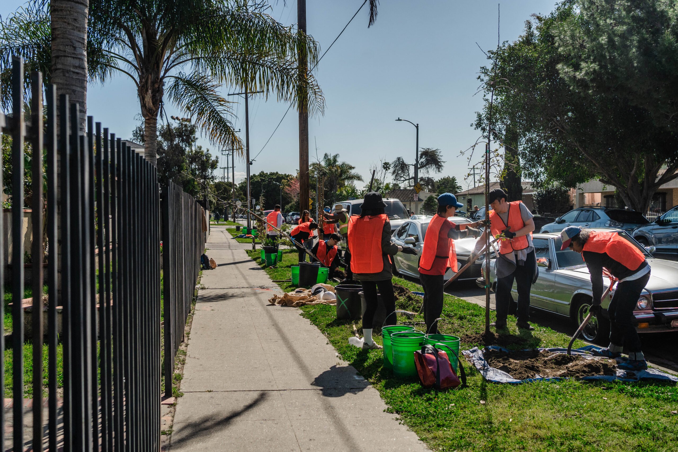 How the Federal Funding Freeze is Impacting TreePeople's Work - TreePeople
