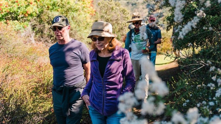 About Us - TreePeople