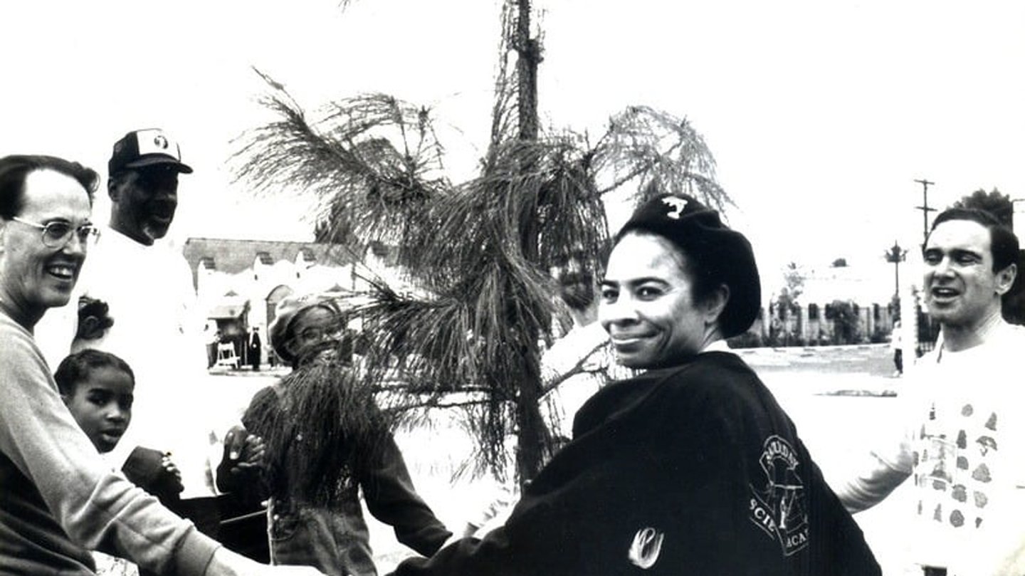 About Us - TreePeople