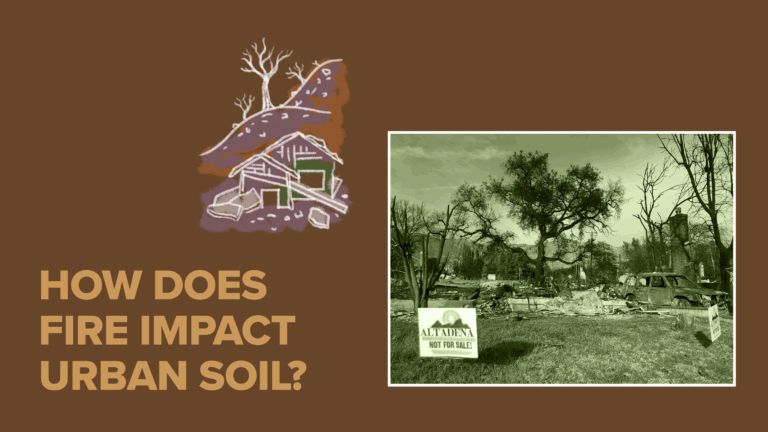 Soil contamination 101: understanding—and improving—our urban soil ...