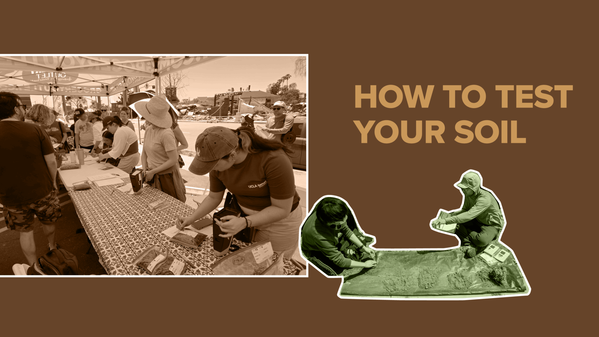 Soil contamination 101: understanding—and improving—our urban soil ...