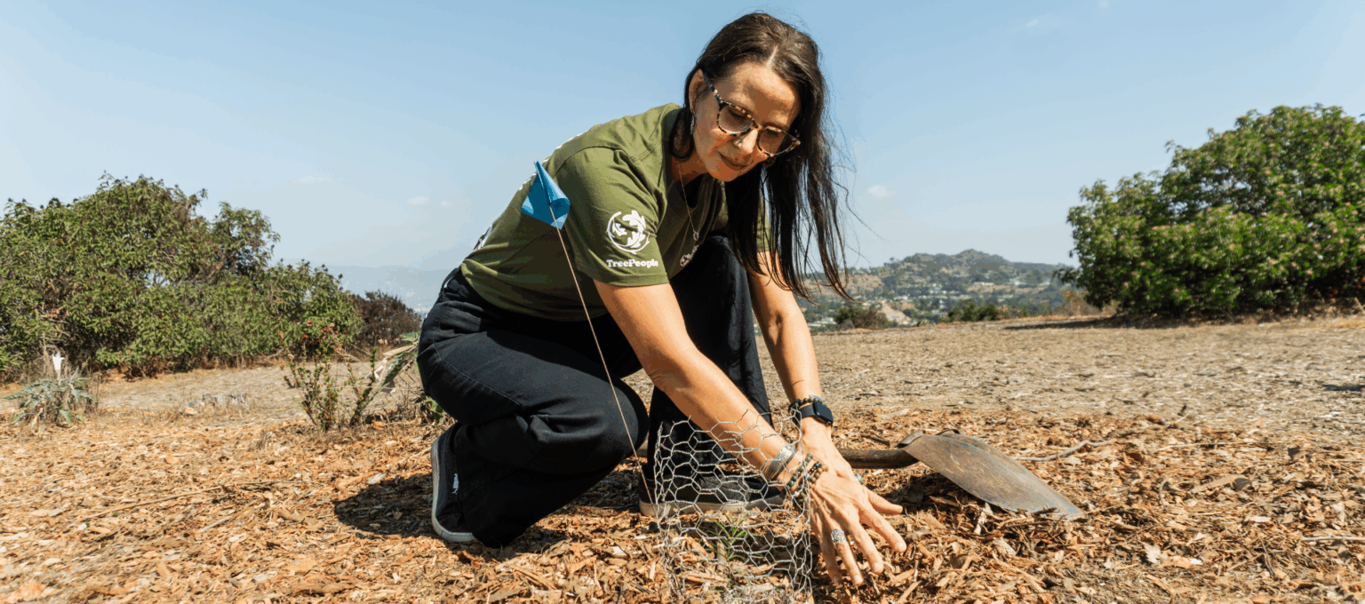 TreePeople Appoints Dr. Cassie Rauser as its New CEO - TreePeople